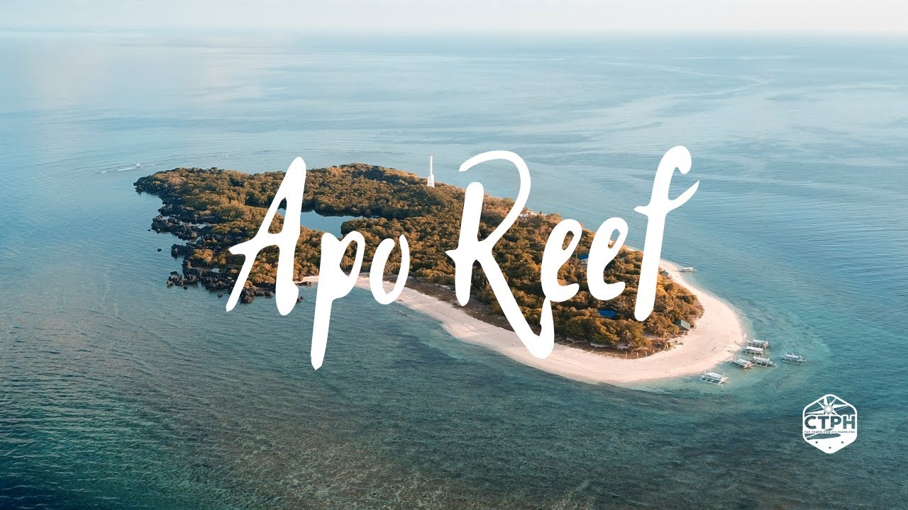 Apo Reef Natural Park "The Largest Reef in the Philippines" - YouTube