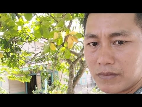 es kolding enk dan segar - YouTube