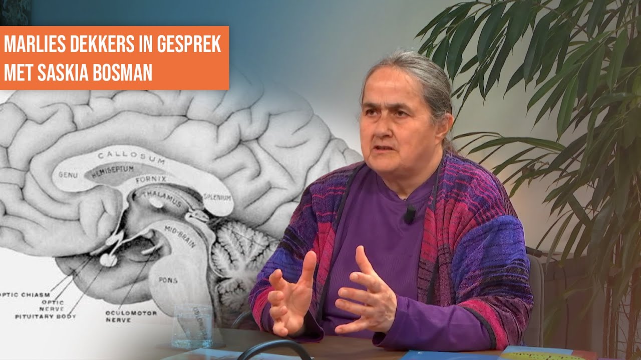 #1176: De pijnappelklier als kosmische antenne | Gesprek met Saskia ...
