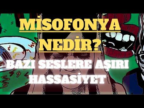 MİSOFONYA (MİZOFONİ) NEDİR? BAZI SESLERE KARŞI NEFRET VE HASSASİYET!