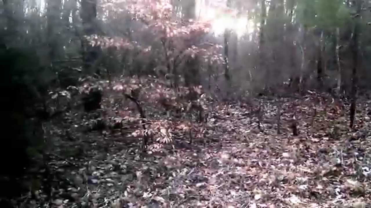 Parmer Acres Hwy 75 Higdon, Alabama - YouTube