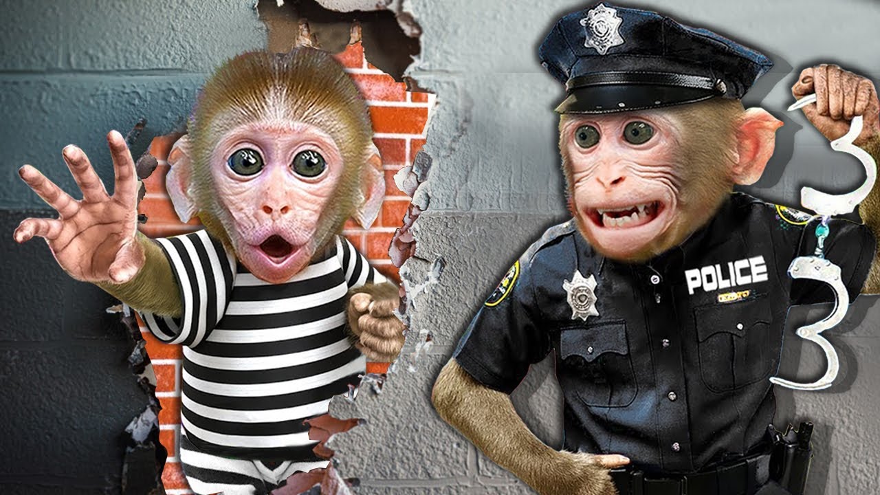 Prison Escape Battle: Monkey Kiki's Unforgettable Jailbreak! 😱😱😱 | KUDO ANIMAL KIKI - YouTube