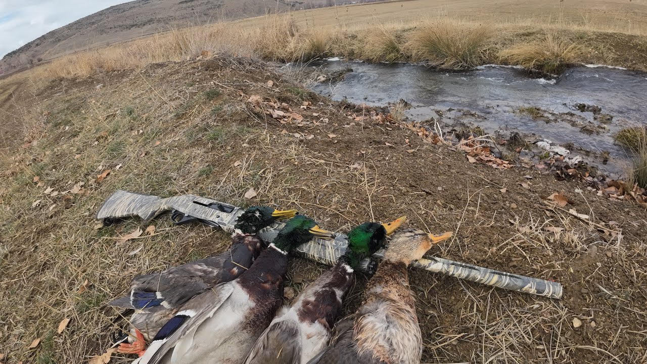 Ördek Avı 2 Duck Hunting 2 - YouTube
