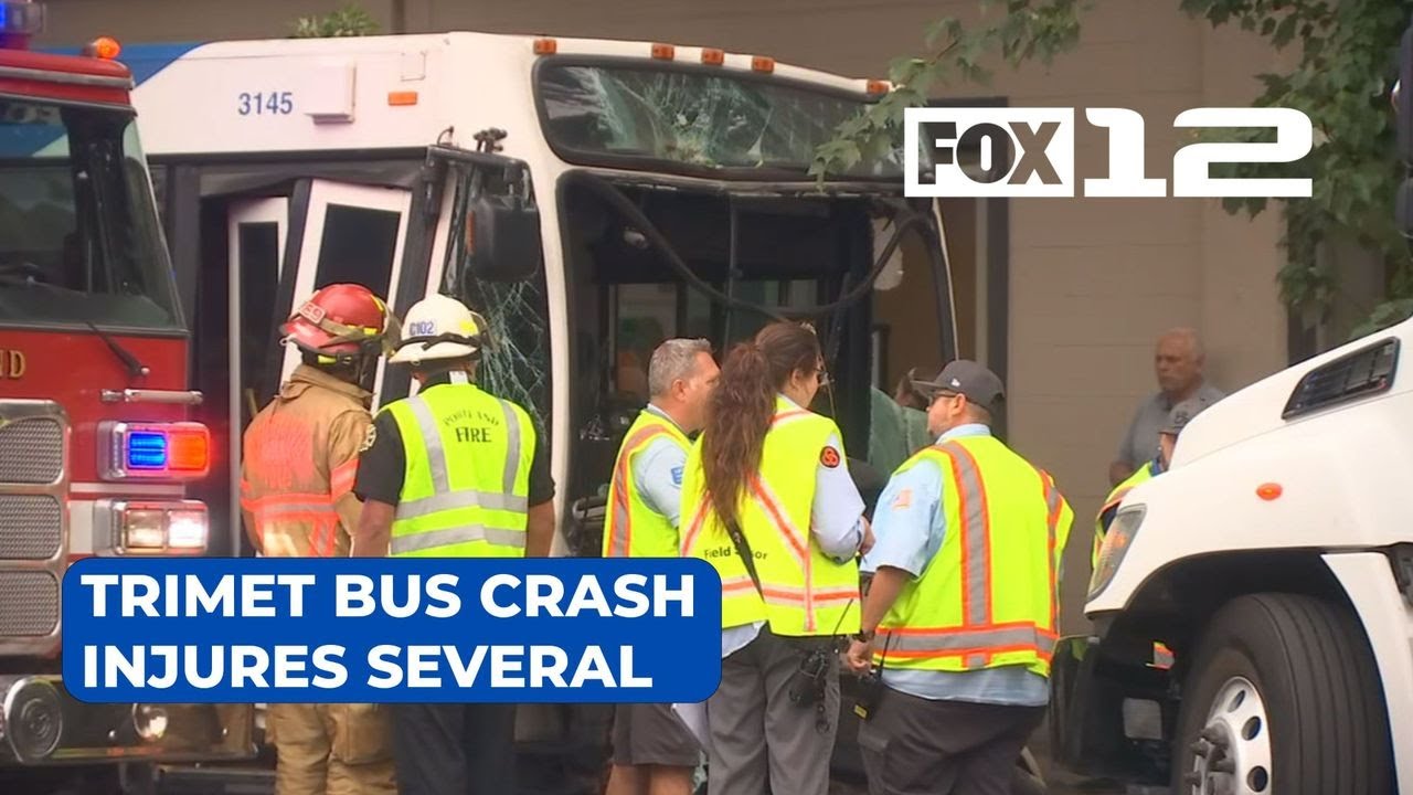 TriMet bus crash injures several passengers, driver: Police - YouTube