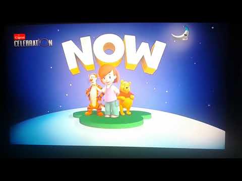 My Friends Tigger & Pooh - Now Bumper (Night Mode) - Disney Junior Asia