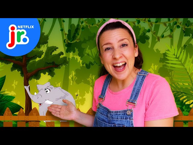 Play Pretend Zoo with Ms. Rachel 🐘 Ms. Rachel | Netflix Jr - Videos For ...