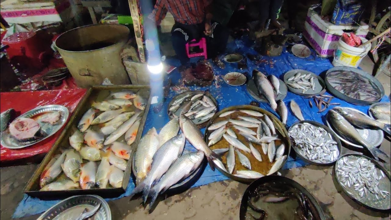 Singi mass | cat fish | small size | Fish cutting |india - YouTube