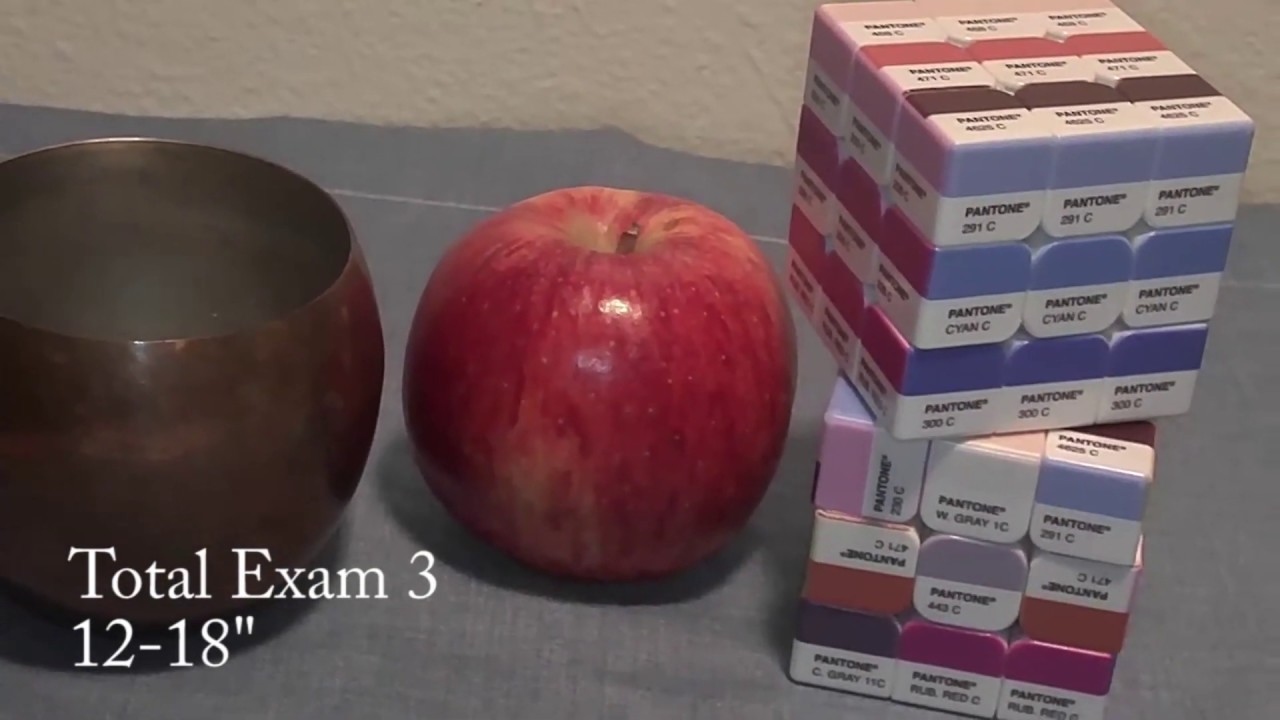 Total Exam 3 Video Demonstration - YouTube