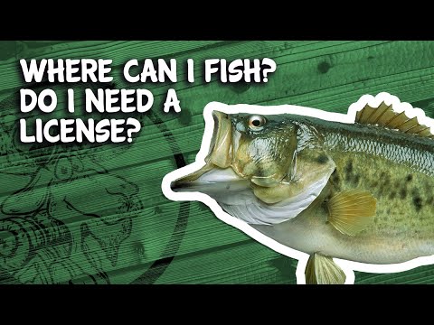 Where Can I Fish at Papoose Pond and Do I Need a License? - YouTube