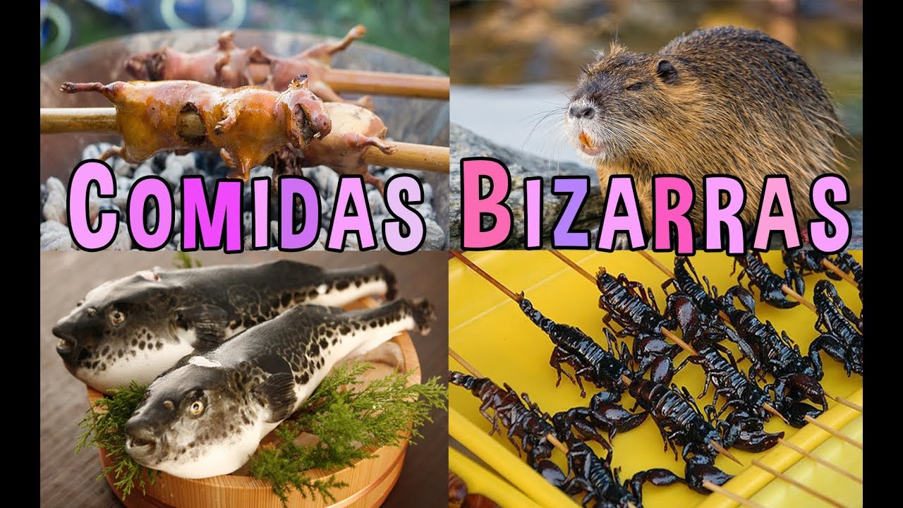 AS COMIDAS MAIS BIZARRAS DO MUNDO - YouTube