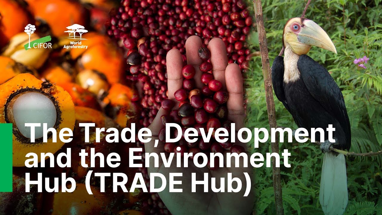 The Trade, Development and the Environment Hub (TRADE Hub) - CIFOR ...