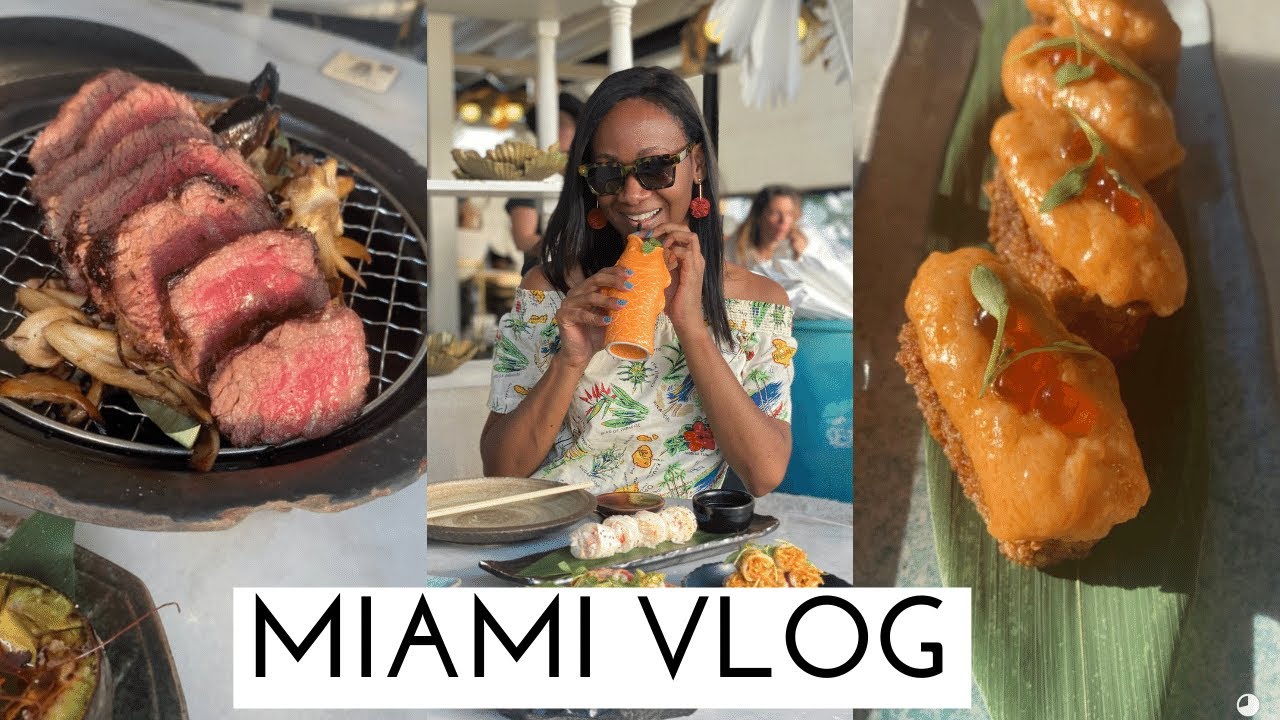 Vlog: Midtown Miami + Salvaje Miami Restaurant - YouTube