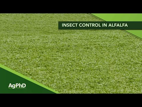 What Pesticides Are Used On Alfalfa