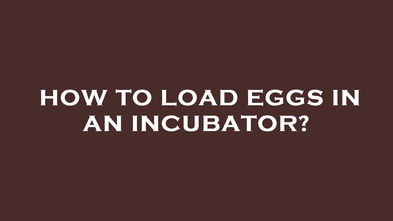 How to load eggs in an incubator? - YouTube