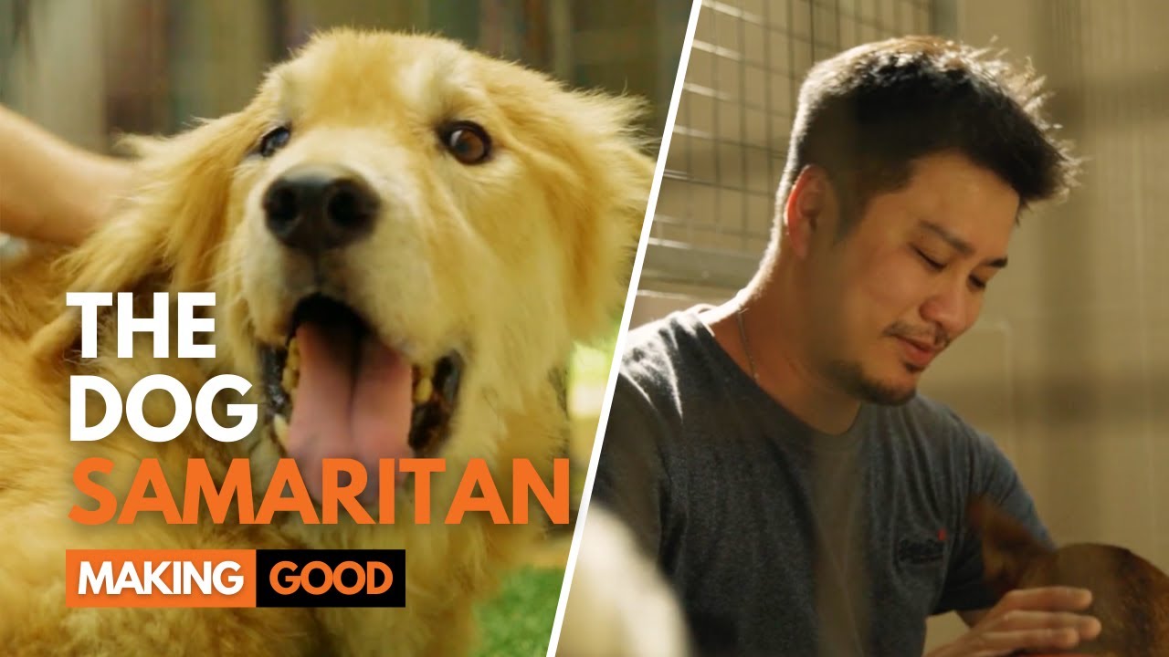 The Dog Samaritan | Making Good #06 - YouTube
