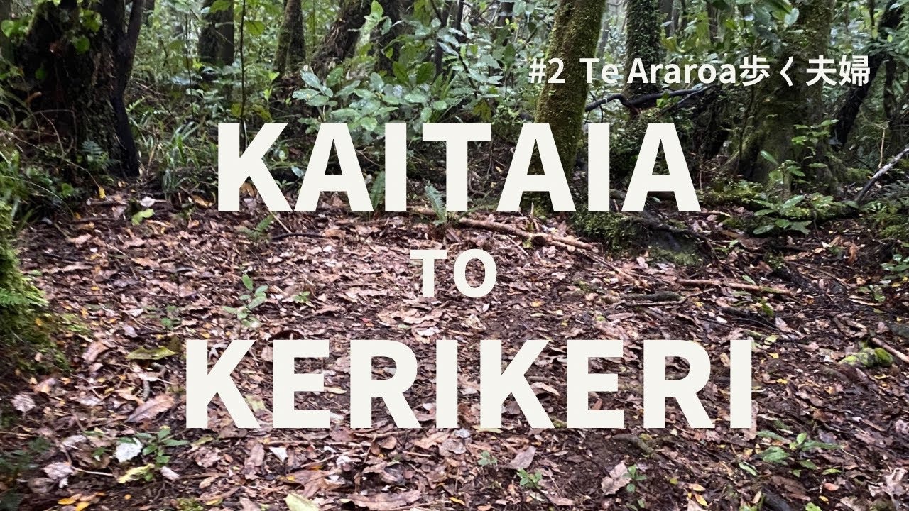 【Te Araroa】Kaitaia to Kerikeri｜day5-8｜Raetea Forest& Puketī Forest〜泥まみれ ...