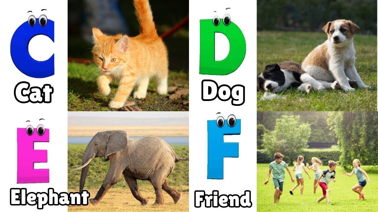 Phonics Song for Toddlers | Phonics Sounds of Alphabet A to Z | ABC ...