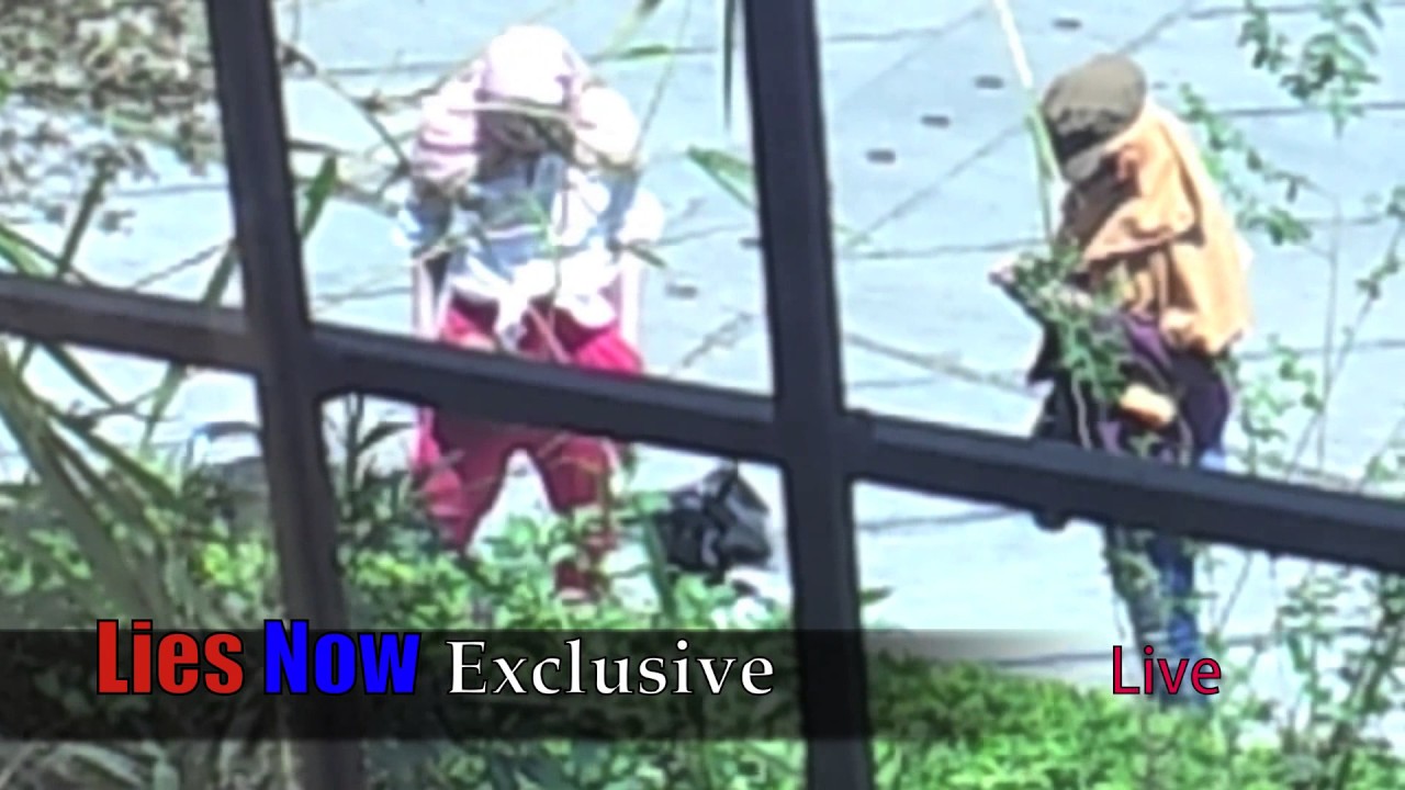Bank Robbed By Female Robber In India Live Footage - YouTube