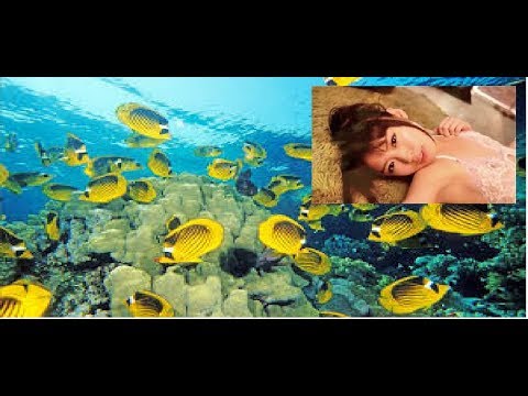 𝑵𝑬𝑾 𝑳𝑼𝑵𝑨𝑹 2018 || 𝑨𝒍𝒘𝒂𝒚𝒔 𝑾𝒊𝒕𝒉 𝑴𝒆 𝑰 𝑯𝒆𝒂𝒓𝒕 𝒀𝒐𝒖