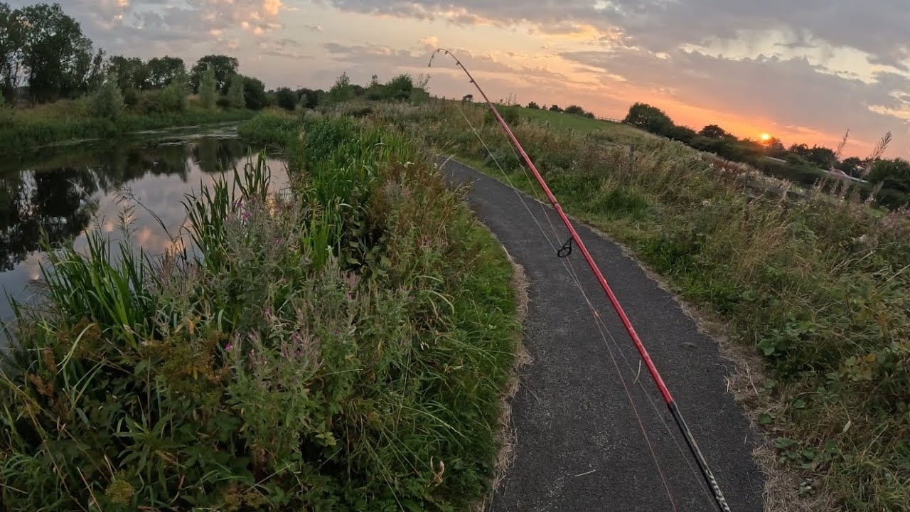Dropshotting for Perch on the Union Canal in Scotland - YouTube