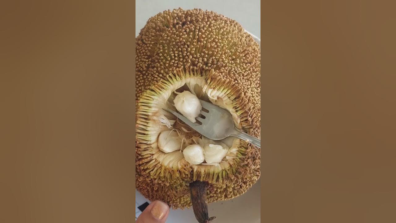Tara kain tayo ng marang,sobrang sarap nito#prutas#food - YouTube