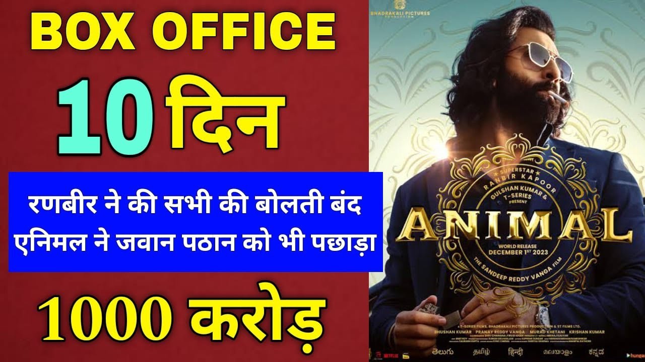Animal box office collection day 10 | Animal day 10 collection | Animal ...
