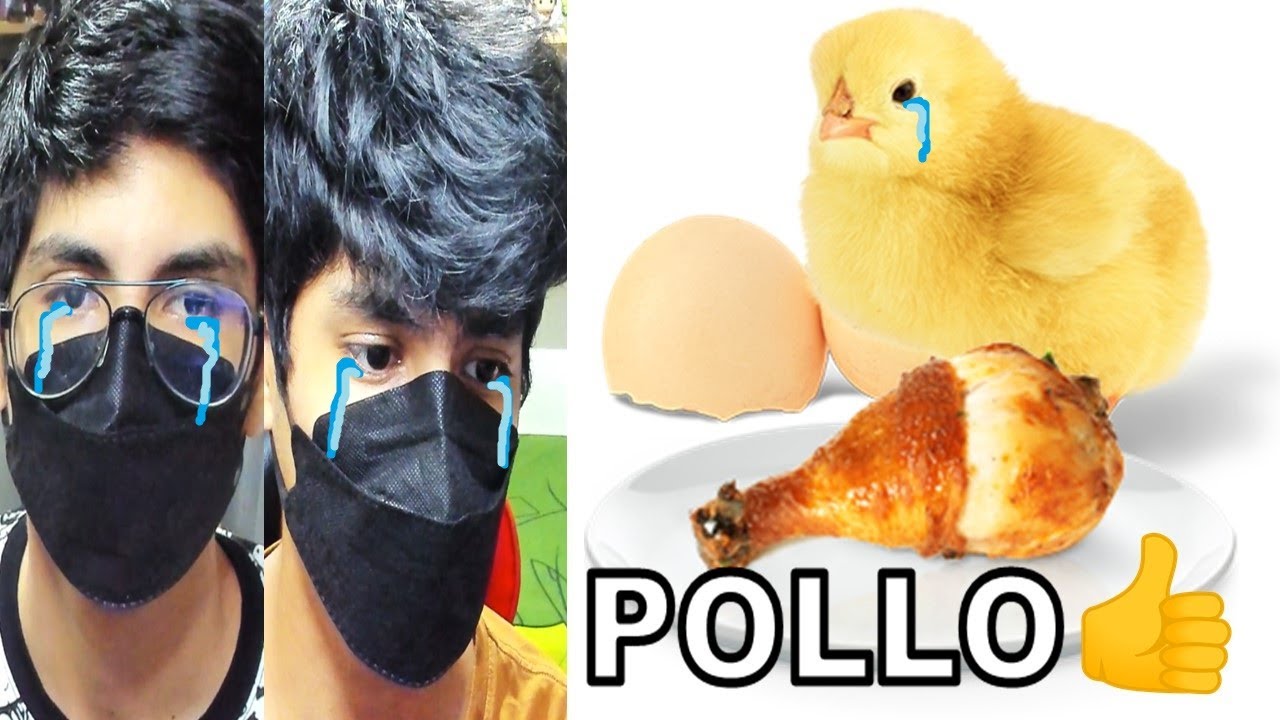 Pollo 👍 - YouTube