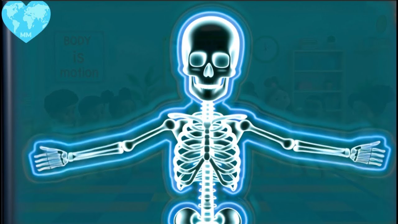ABC Body Song! 💃 | Dance, Move & Learn: Arm, Belly, Iris, Quads & More ...