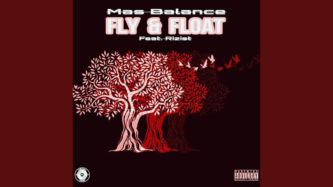 Fly & Float (feat. Rizist) - YouTube