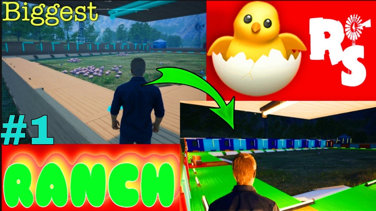 Sabse bada chicken coop in my ranch - YouTube