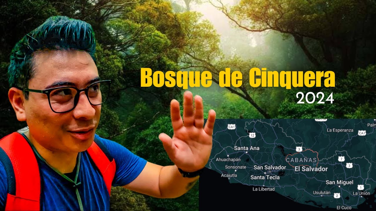 BOSQUE de Cinquera - Tesoro turístico en cabañas / naturaleza, historia ...