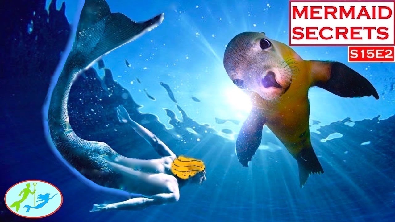 Mermaid Secrets of the Deep - S15E2 - THE SEA LION | Theekholms - YouTube