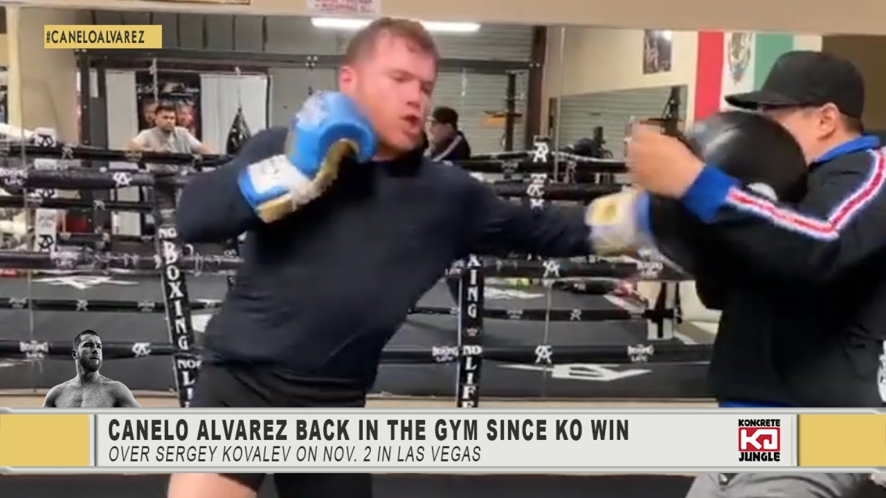 Canelo Alvarez Training Highlights After KO Win Over Sergey Kovalev ...