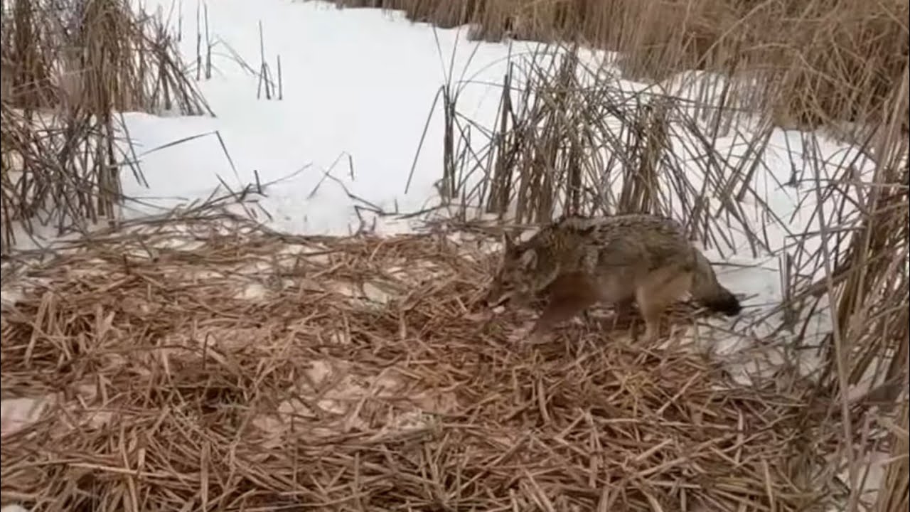 40 Below Zero-Bad Luck-Mother Nature - YouTube