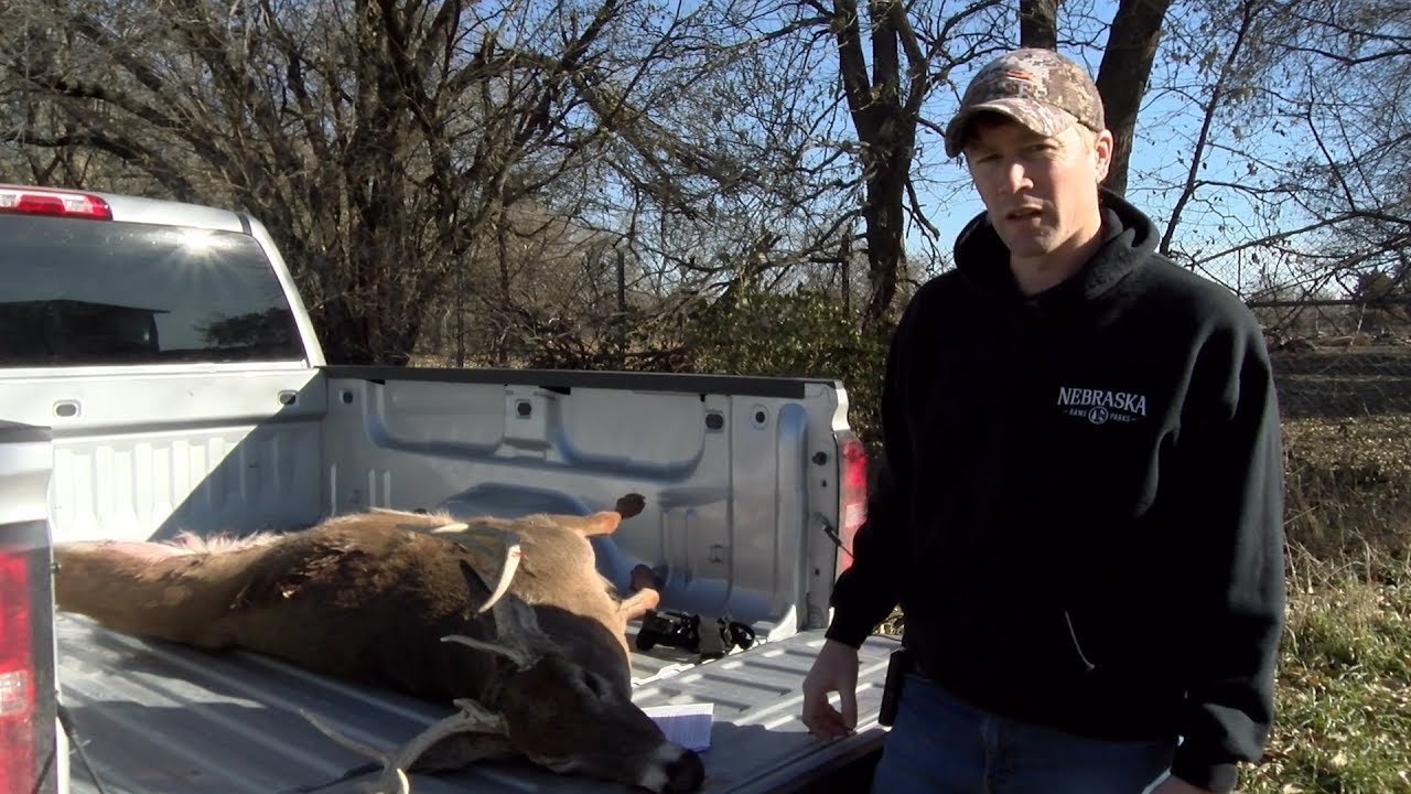 How To Remove Lymph Nodes For CWD Testing - YouTube