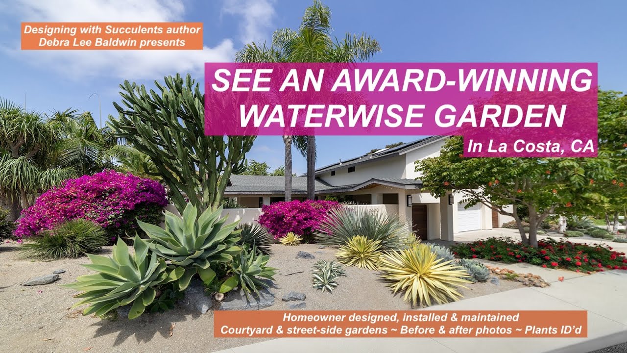 See an Award-Winning Waterwise Garden - YouTube