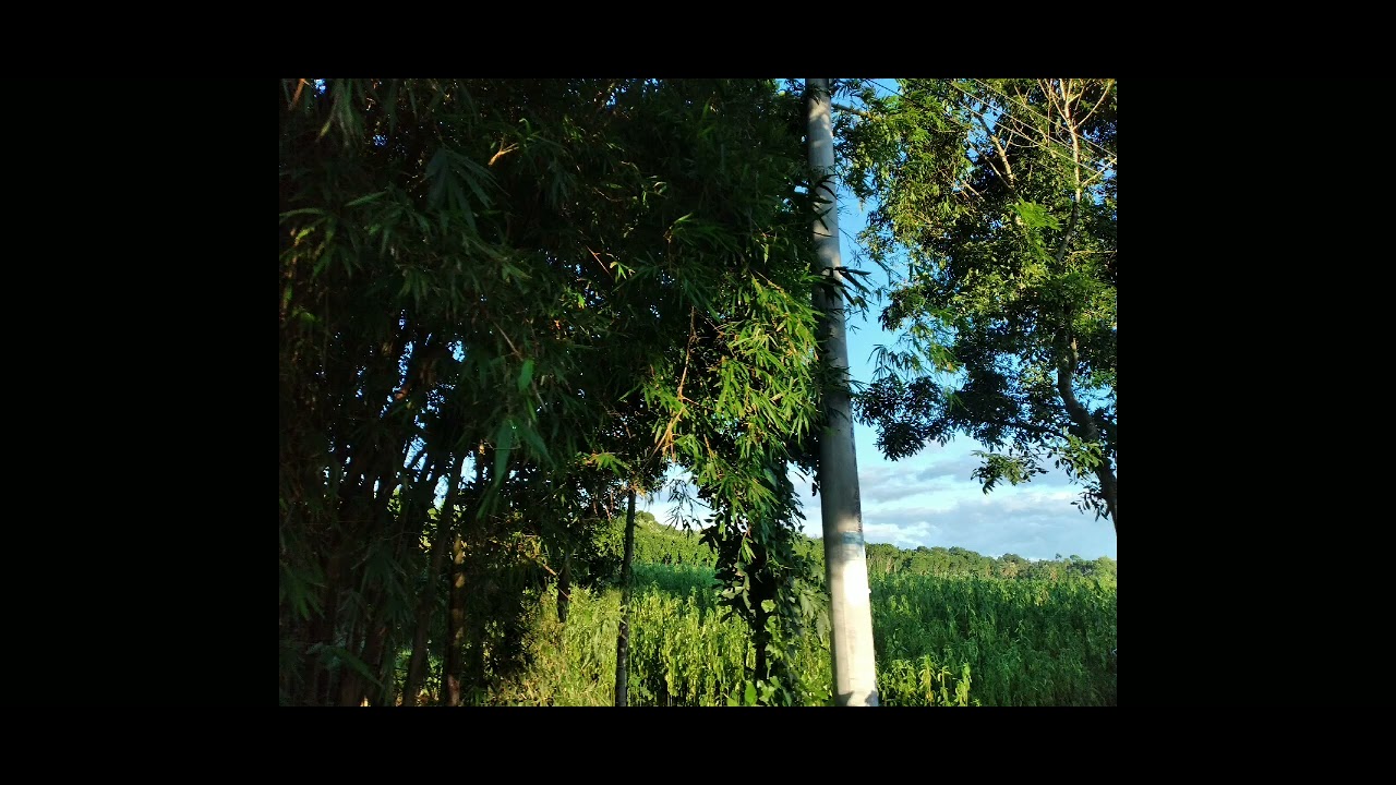 14 September 2022 - YouTube