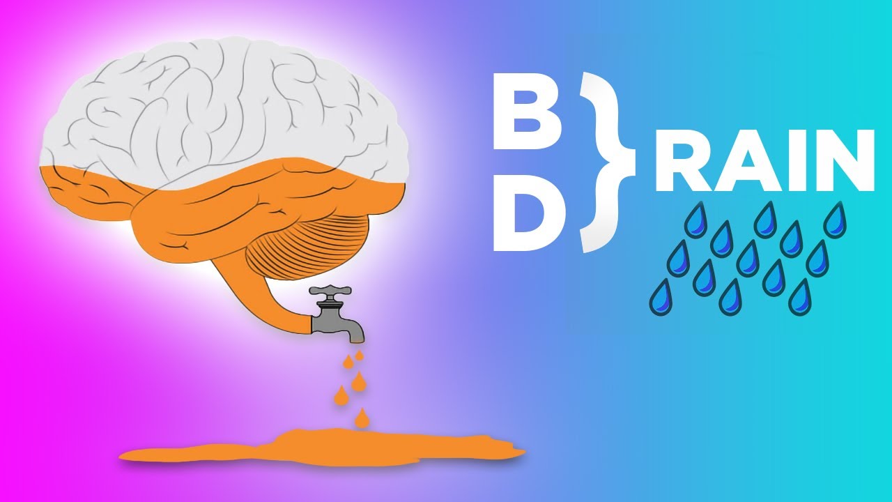What Is Brain Drain Causes Effects Solution YouTube What Is Brain Drain Causes Effects Solution YouTube