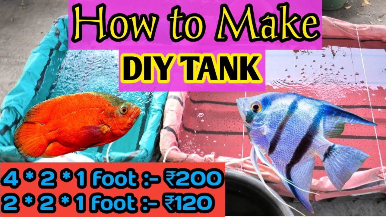 DIY FISH TANK | How to make tank at very cheap | cheapest fish tank ...