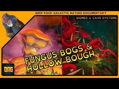 Fungus Bogs & Hollow Bough | Deep Rock Galactic Hoxxes IV Documentary ...