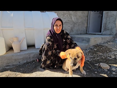 Anisa'nın takipçilerinin mutlaka görmesi gereken bir video - Sahte kanalın kaldırılması - Fatima'yı