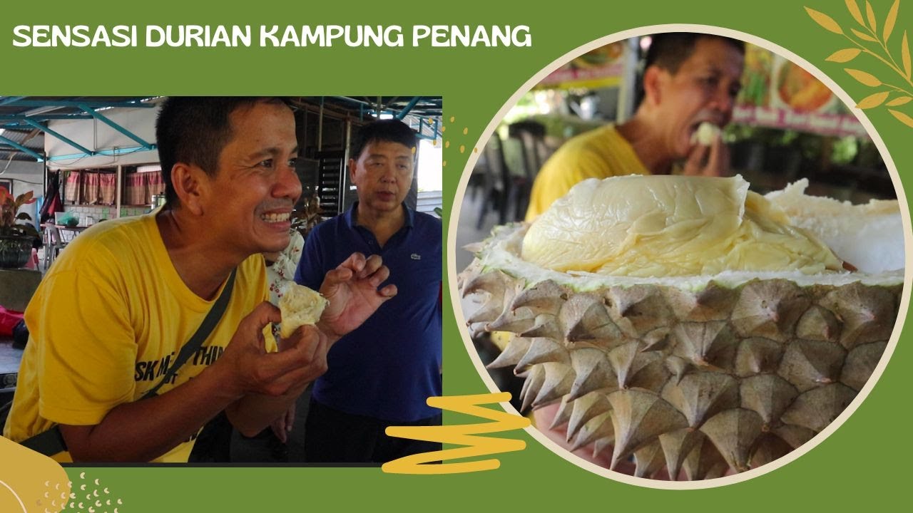 STUDI BANDING BAO SHENG FARM PENANG MALAYSIA - YouTube