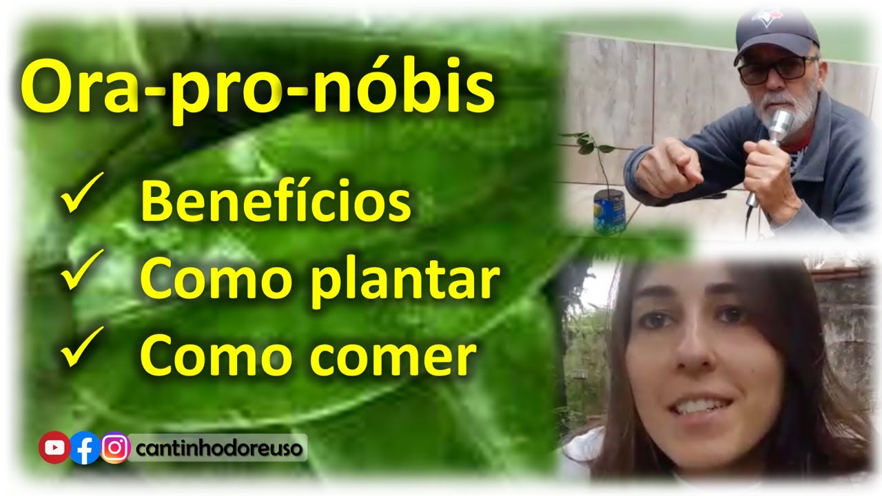 Ora Pro Nóbis Benefícios Cultivo E Como Usar Youtube
