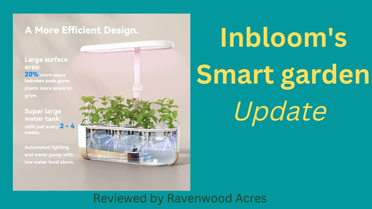 Inbloom Hydroponic Smart Garden Update: Goji Berry Starts - YouTube