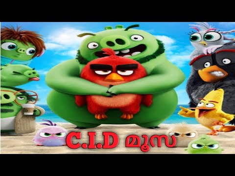 നിന്റെ തല ആരാ ഇവിടെ കൊണ്ട് വെച്ചെ... 😂😂 | angry birds troll video | all ...