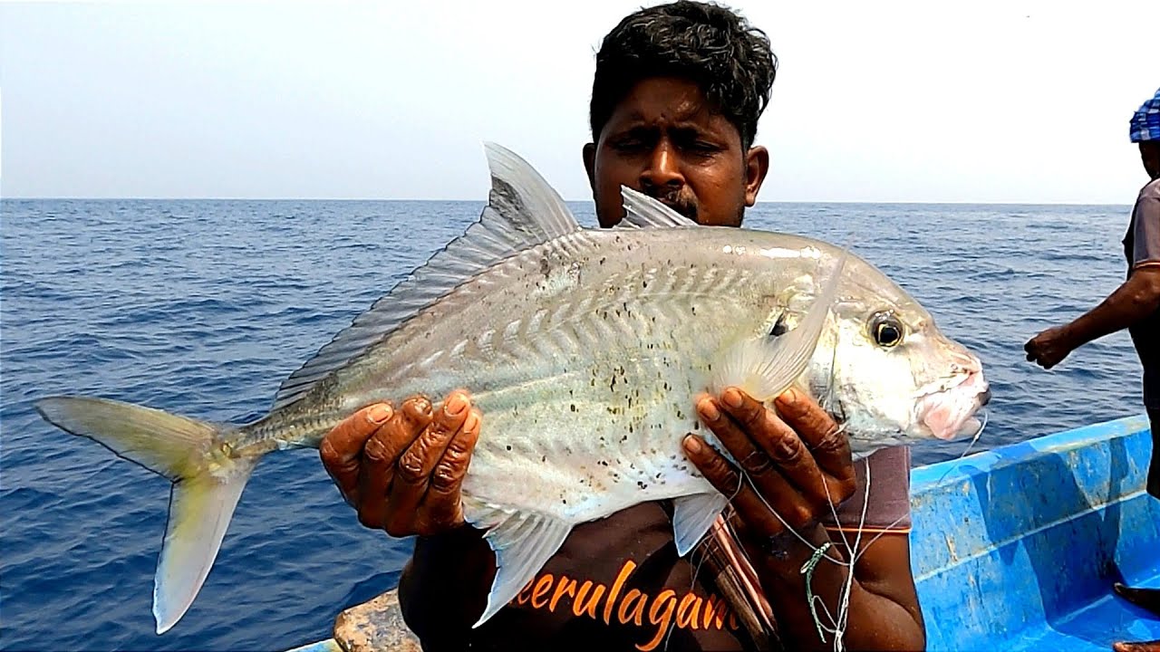 Back to Back Diamond Trevally Fish Caught in Sea - YouTube