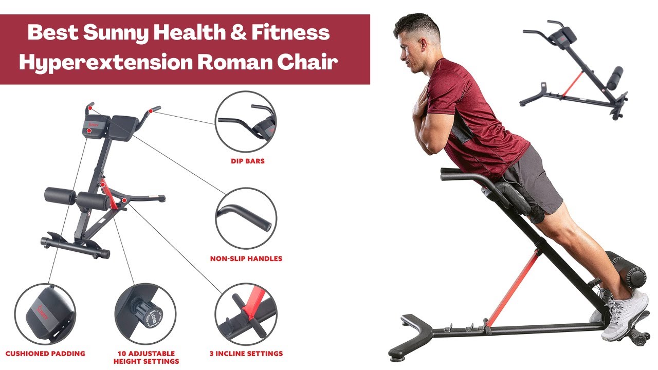 The BEST Sunny Health & Fitness Hyperextension Roman Chair with Dip ...