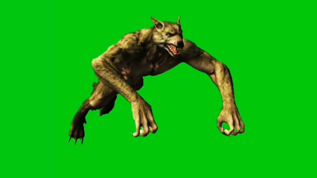 Green screen werewolf attack | Chroma key werewolf running | horror ...