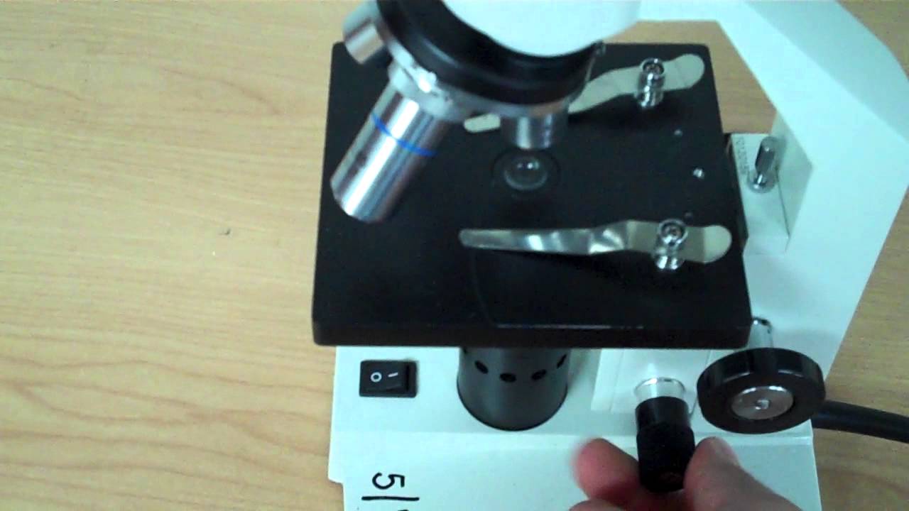 Parts of a Microscope - YouTube