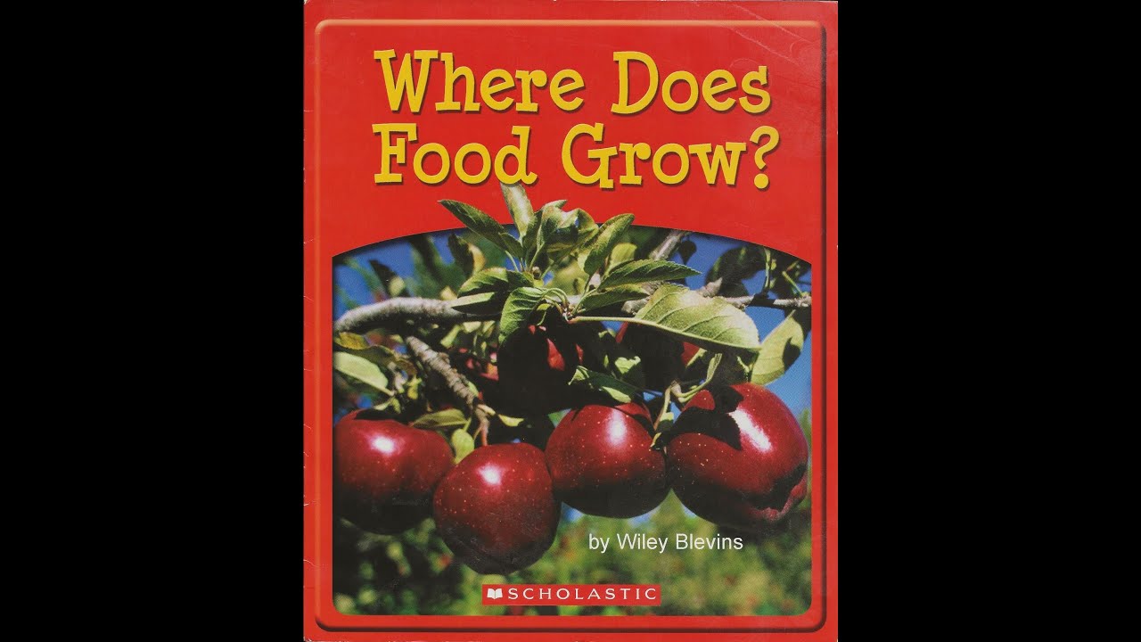 Where Does Food Grow? - YouTube